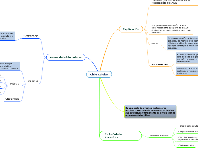 Ciclo Celular - Mind Map